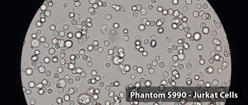 Cytometry Single-Cell Imaging - Technoverse